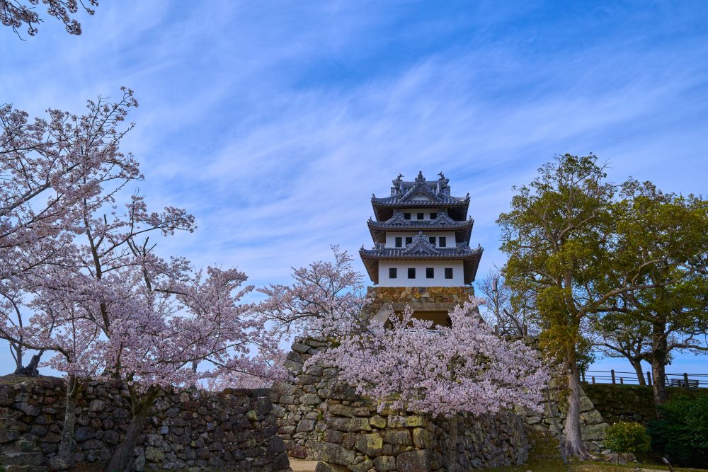 [Ohanami] Hotel Boasting Cherry Blossom Trees and Awajishima Cherry ...